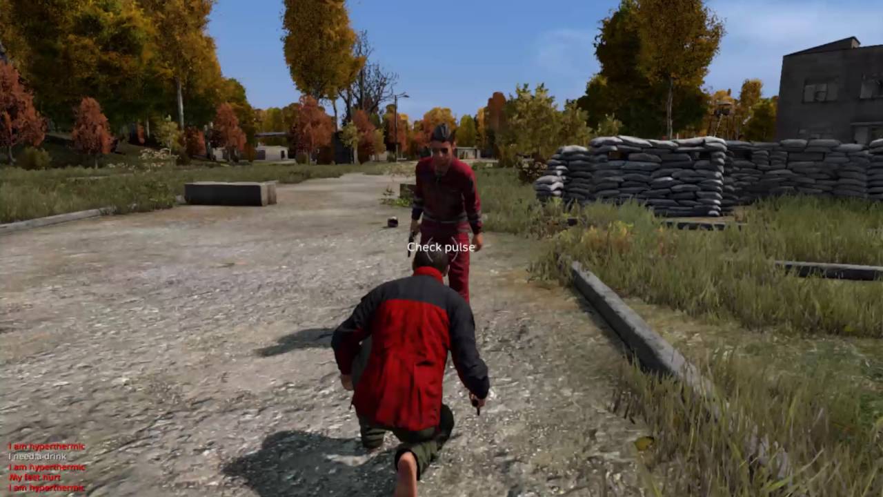 DayZ Gameplay - YouTube