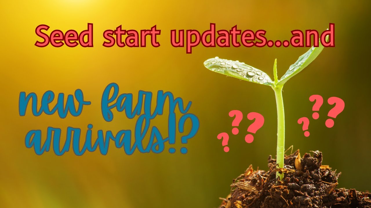 New Arrivals are...??? (plus seed start updates!) - YouTube