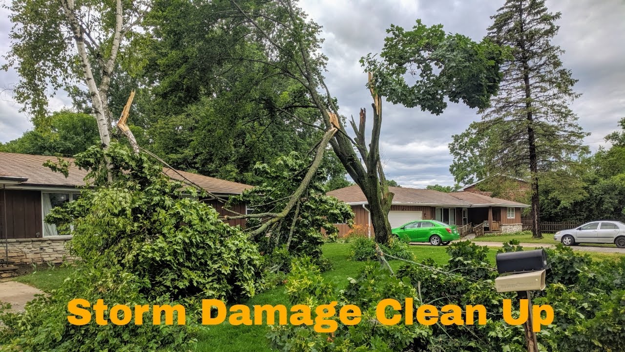 Storm Clean Up - Tree Damage from Wind - YouTube
