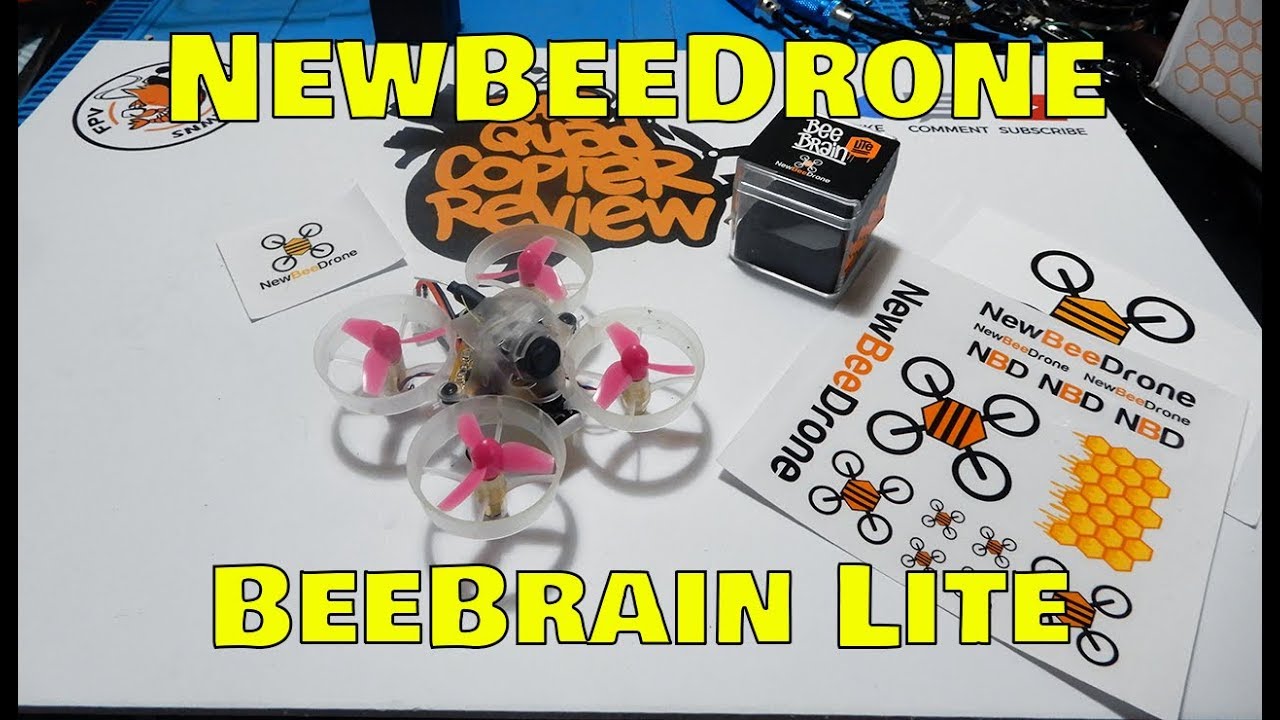 BeeBrain Lite by NewBeeDrone - Review | Build | Flight Test - YouTube