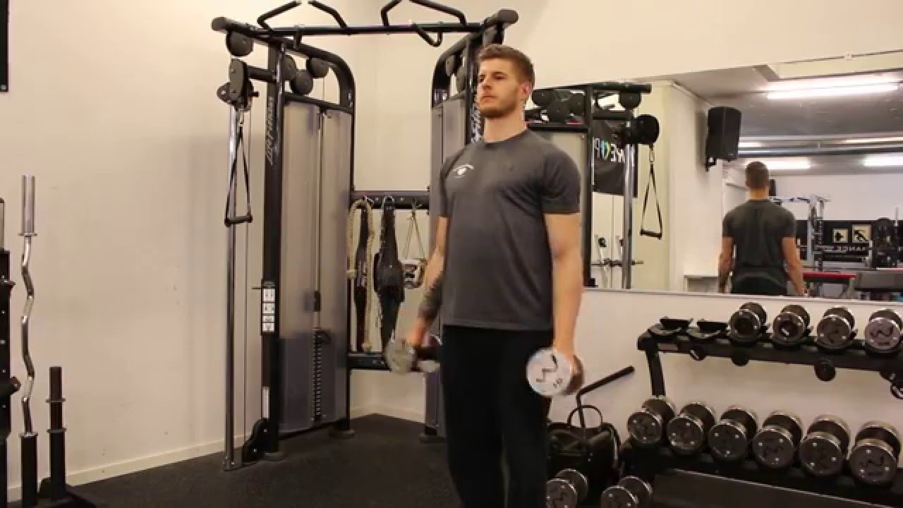 Dumbbell standing curls, neutral grip - Thomas Moberg Fitness - YouTube