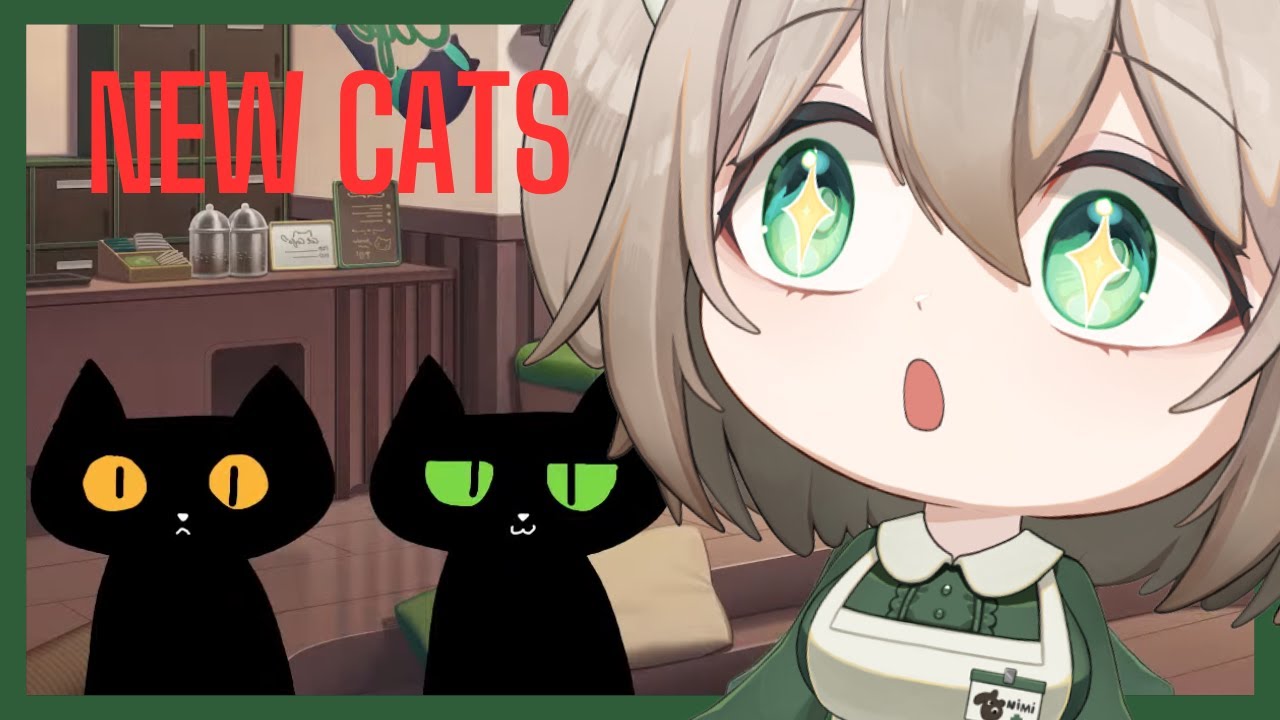 Nimi's 2 New Cats - YouTube