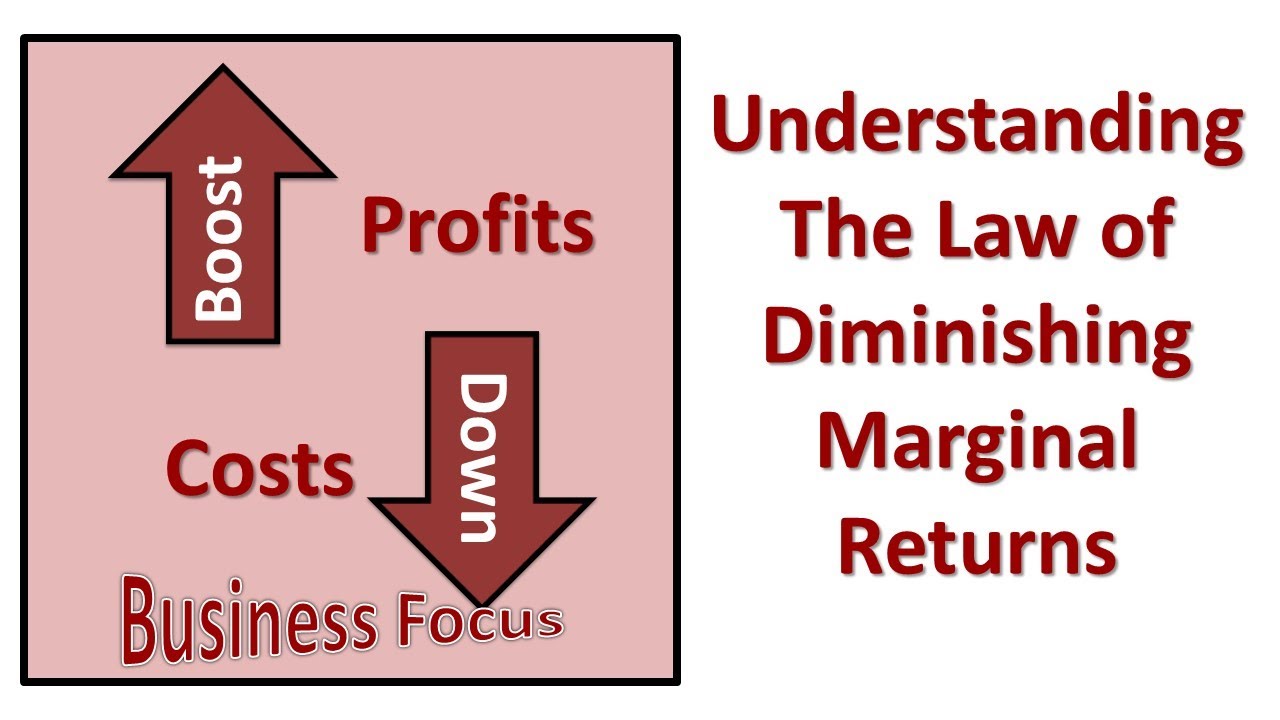 Understanding The Law of Diminishing Marginal Returns - YouTube