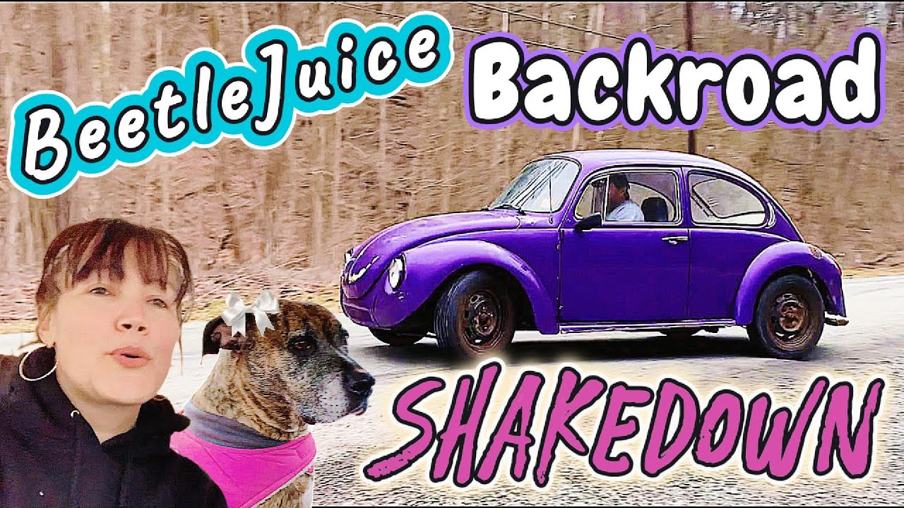 First drive since 05! Volkswagen Beetle Bug gets to stretch its legs ...