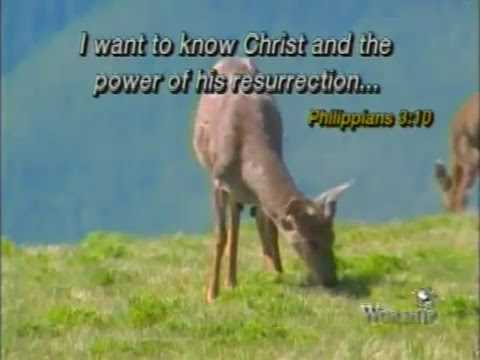 "That I May Know Him" - David Teems - YouTube