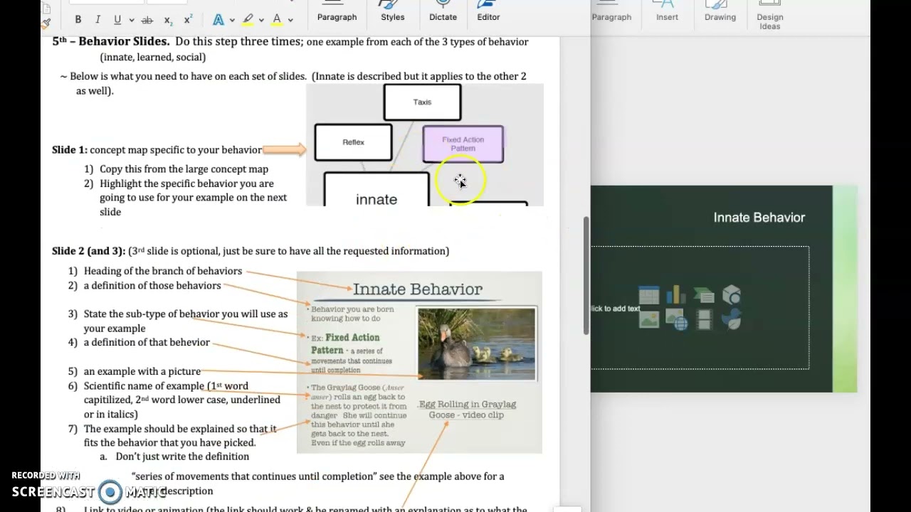 How to Complete the Behavior Project - YouTube