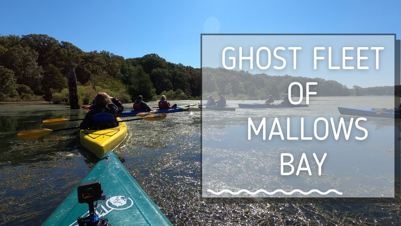 The Ghost Fleet of Mallows Bay - YouTube