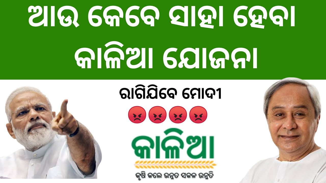 ଆଉ କେବେ ସାହା ହେବା କାଳିଆ ଯୋଜନା?😡😡 || When Will Credit Kalia 3rd ...