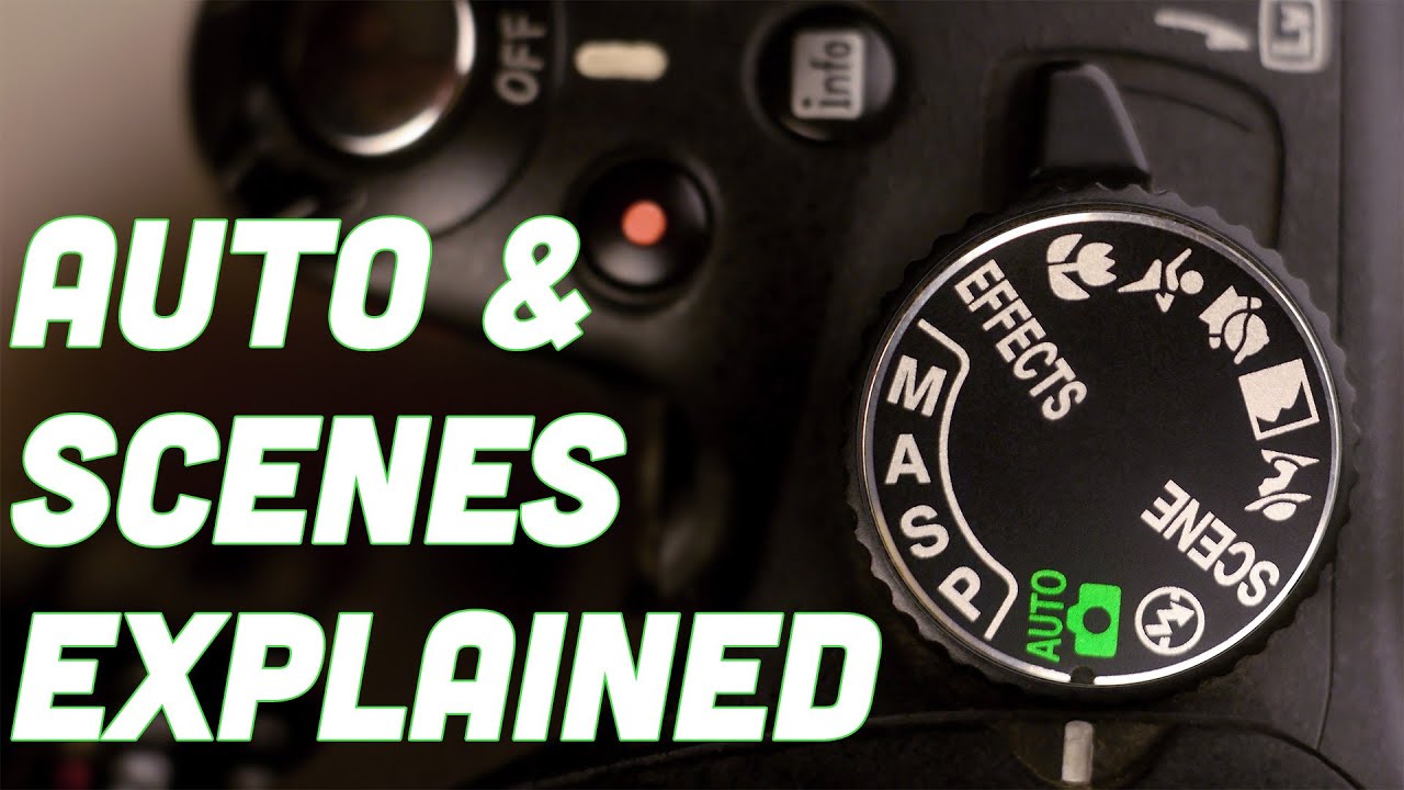 Camera Program Mode, Scene Mode and Fully Auto Explained - YouTube