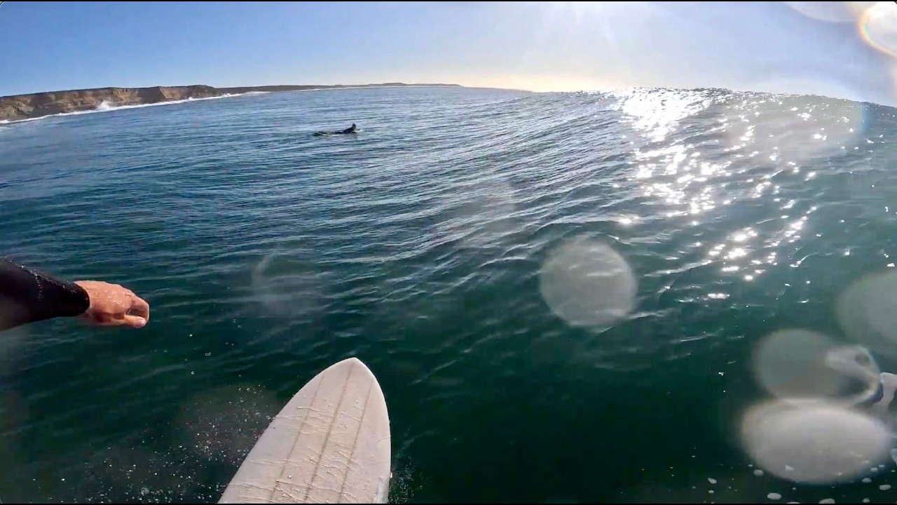 Three Coastlines, Solid Waves & One Board – Can the JS Big Baron Handle ...