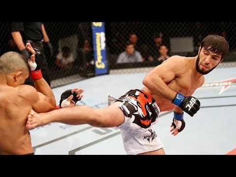 UFC💥 zubaira tukhugov 💥Ultimat fighter