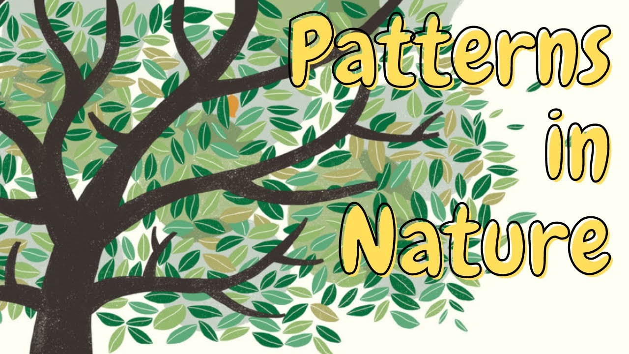 Patterns In Nature For Kids