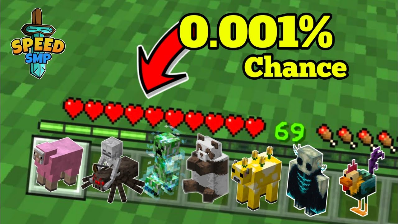 Why I'm Collecting This Rare Mobs In This Lifesteal Smp || Speed Smp ...