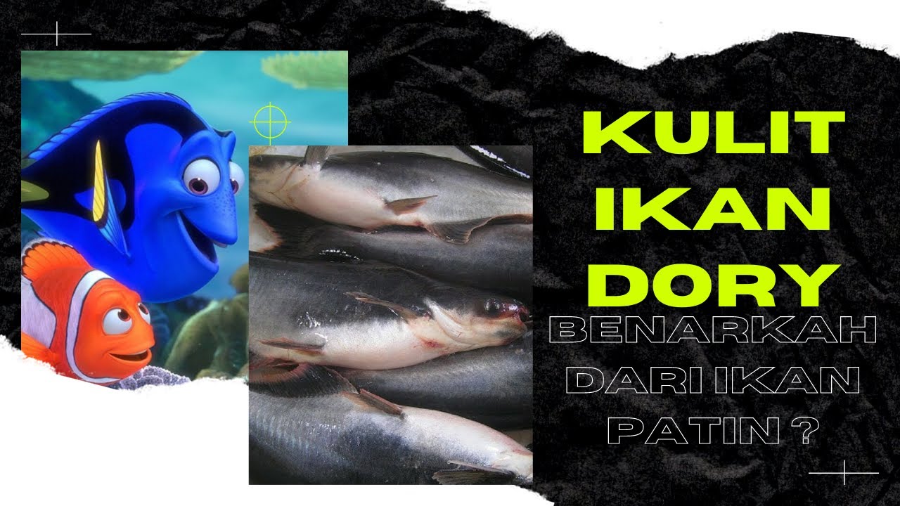 Viral !! Benarkah Kerepek Kulit Ikan Dory dari Ikan Patin ?? Review ...