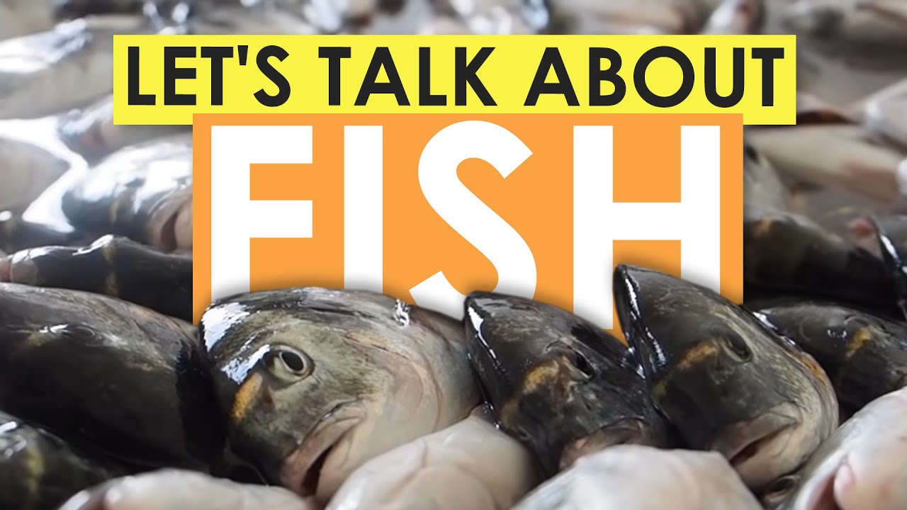 Let's Talk About Fish - YouTube