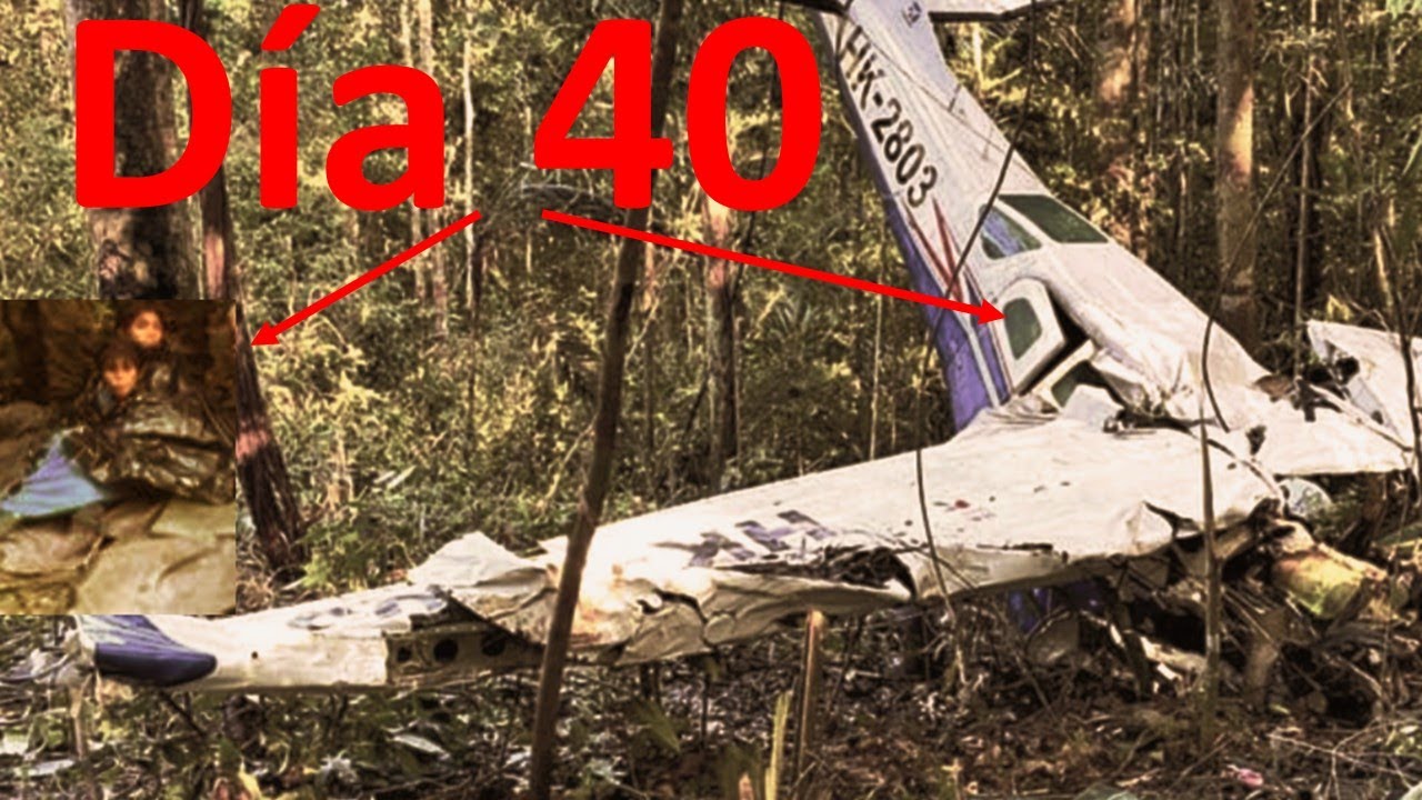 NIÑOS SOBREVIVEN 40 DÍAS EN LA SELVA perdidos |HISTORIA VERDADERA ...