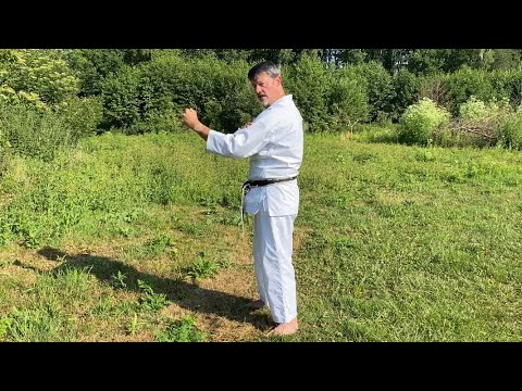 Beginners Shotokan Karate: Tetsui Uchi (Hammer fist strike) - YouTube