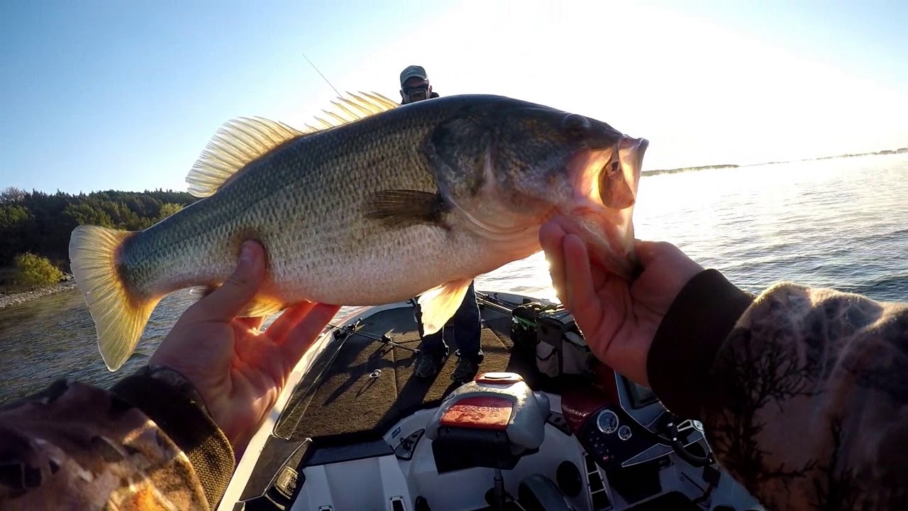 CRAZY Pre-Fishing on Squaw Creek Reservoir - YouTube