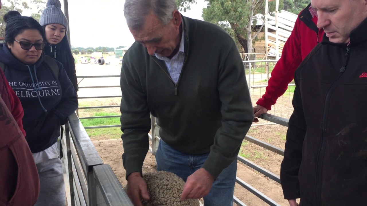 Wool classing workshop - YouTube