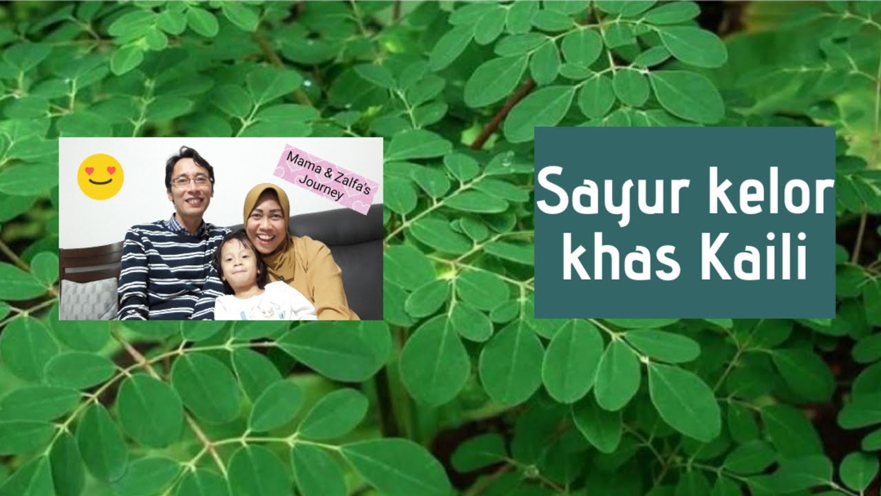 Sayur kelor (Uta kelo) khas Kaili - YouTube