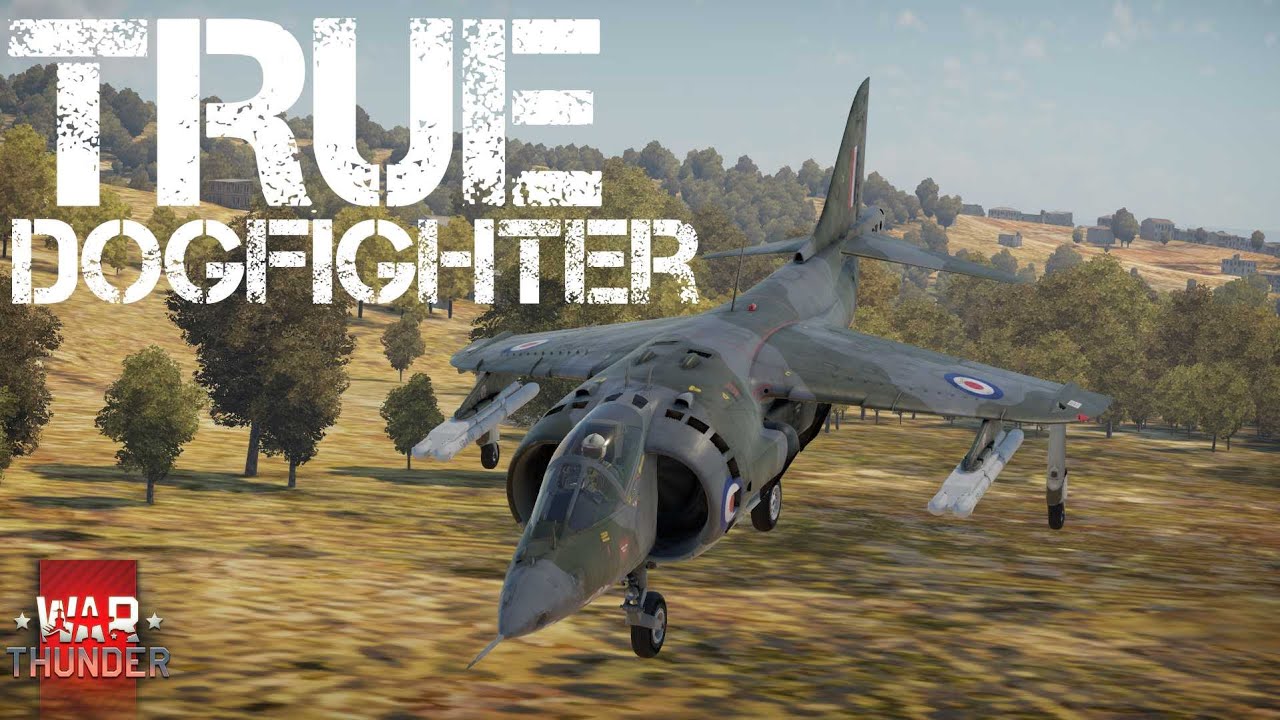 A true DOGFIGHTER - YouTube