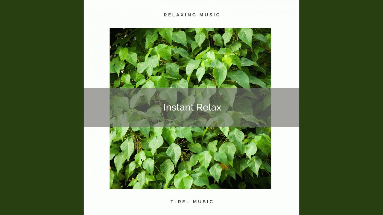Get Hard Relax with Soothing Nature Sounds for Sleep - YouTube