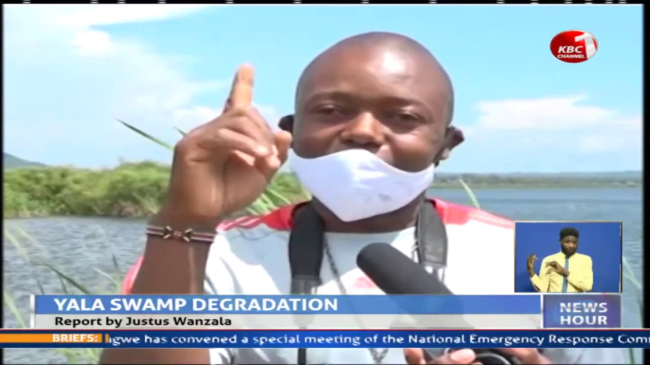 Yala swamp on the blink of ruin following degradation - YouTube