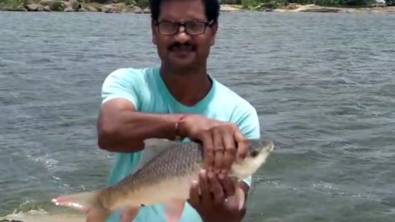 How to catch a big Rahu fish //village fishing//Hyderabad fishing - YouTube
