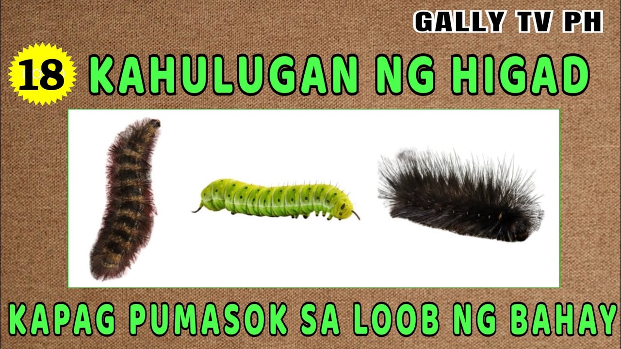 18 kahulugan ng HIGAD kapag pumasok sa loob ng bahay # ...