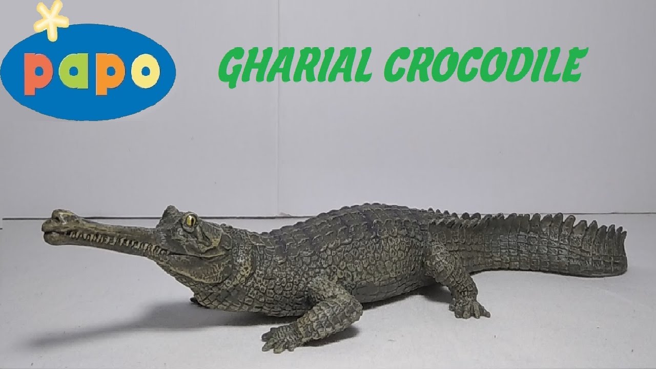 Papo (50154) Gharial Crocodile Figure Review! - YouTube