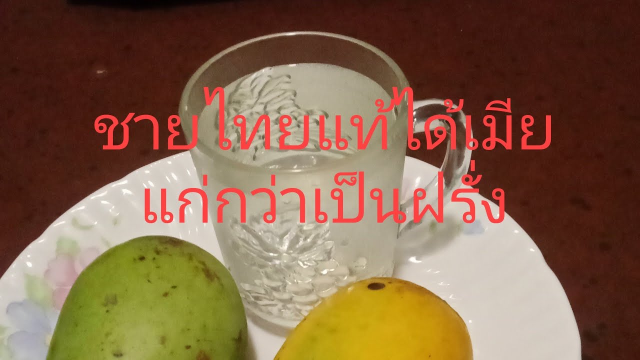 เรื่องเล่า ขับรถตู้รับส่งนักท่องเที่ยวเลยได้เมียฝรั่ง@ปาริ - YouTube