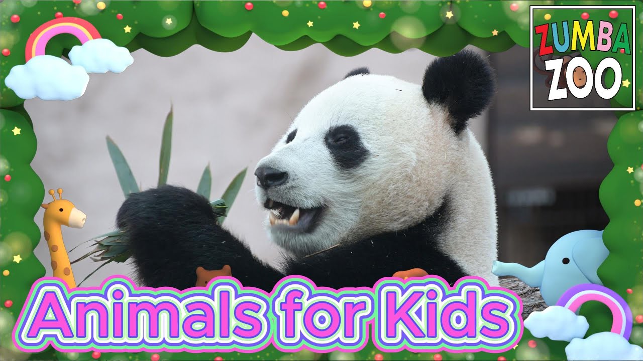 Amazing Animals for Kids to Learn About - YouTube