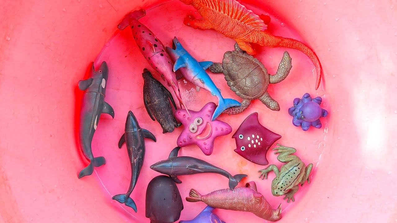Learn Sea Animal Names Educational | Sea Animal Toys for Kids with Fun ...