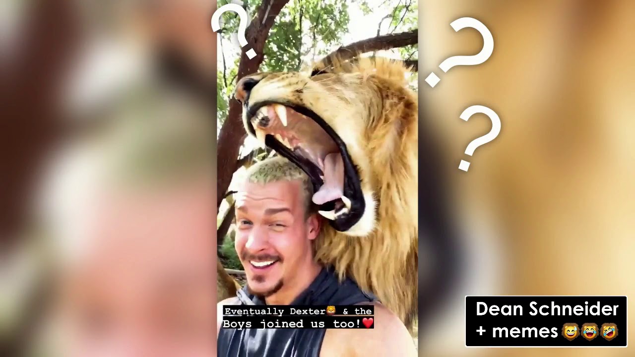 You must be HUNGRY right?MUST WATCH! (Dean Schneider +memes) - YouTube