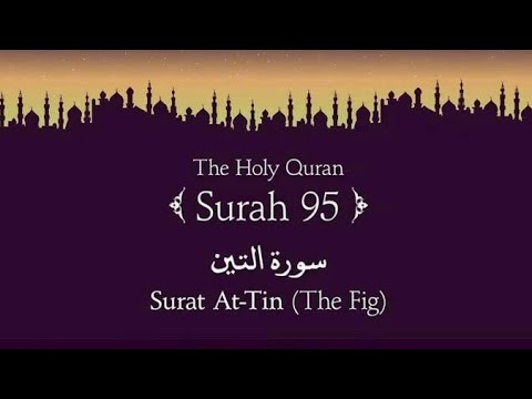 বাংলা অর্থ সহ সূরা তীন || Surah At - tin || Nurus Sabah Sirat ...