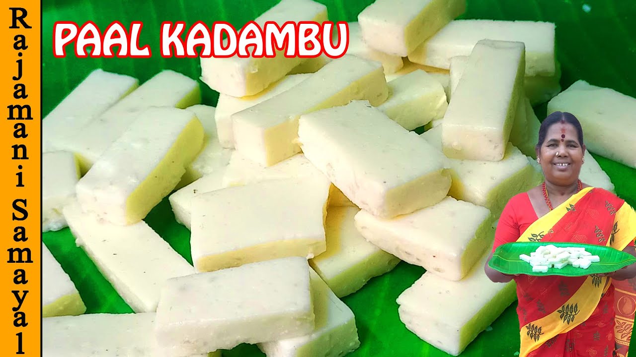 PAAL KADAMBU | பால் கடம்பு | Roadside Paal Kadambu | Paal Kadumbu ...