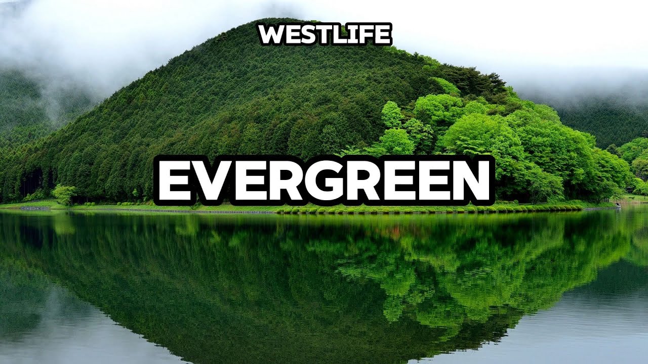 Westlife - Evergreen || Lyrics - YouTube