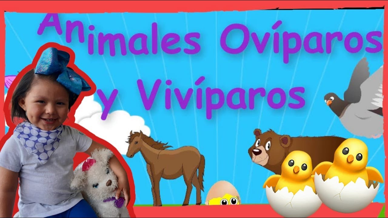 Animales ovíparos / animales que nacen del huevo - YouTube