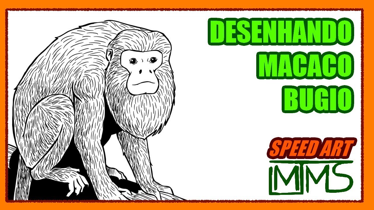 Macaco Bugio (speed draw) - YouTube