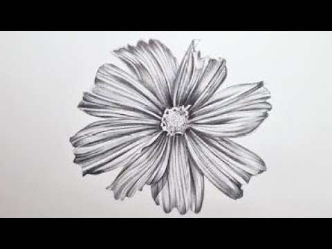 PHOTOREALISTIC Timelapse Drawing in Biro | Flower *2023* - YouTube