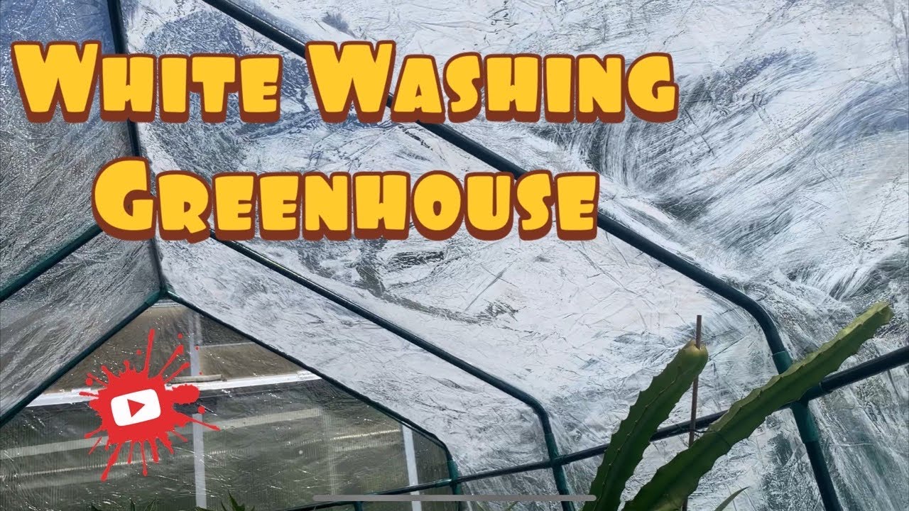 White washing a cheap greenhouse - YouTube