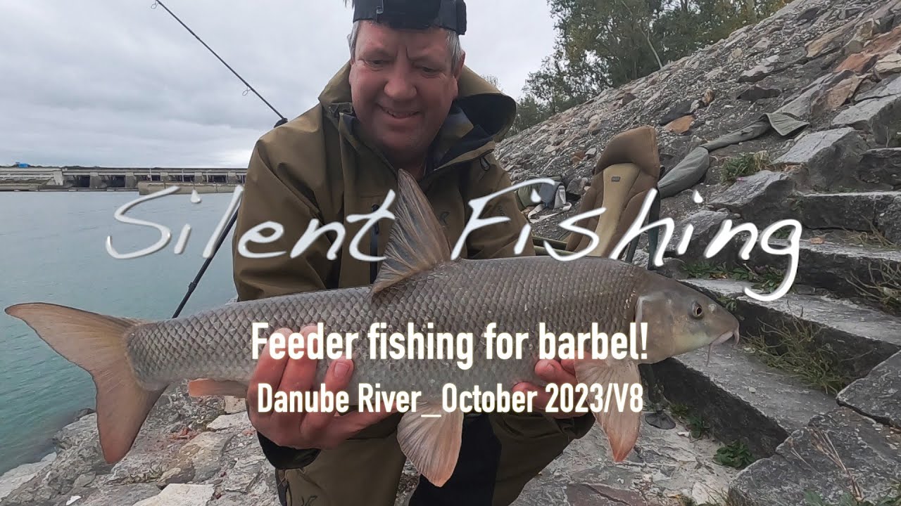 Feeder fishing for barbel at Danube River! October 2023/V8 - YouTube