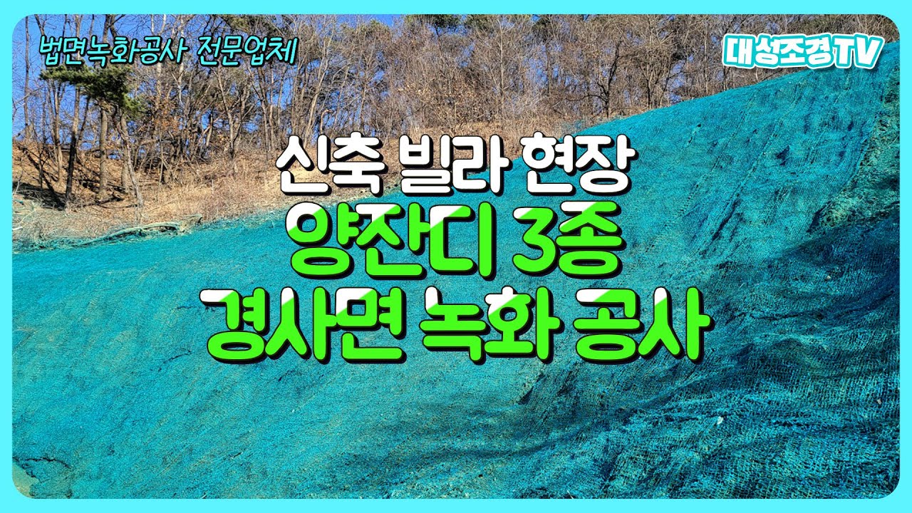 시드스프레이 씨드스프레이 잔디공사 잔디씨앗파종 씨앗파종 잔디씨앗뿌리기 전국 법면녹화공사 전문업체 대성조경 Youtube