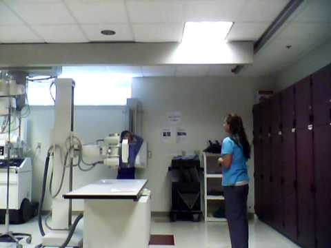 RPO and LPO chest - YouTube