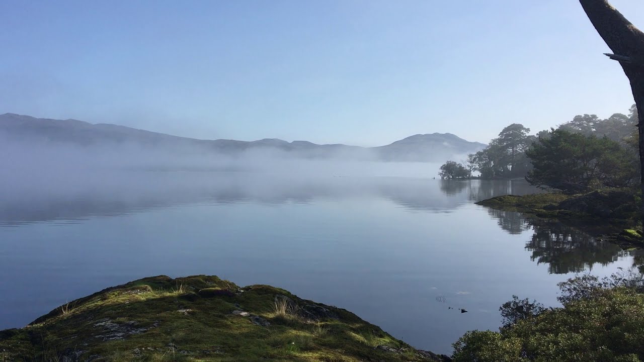 A beautiful foggy morning Inchconnachan island (Wallaby island) - YouTube