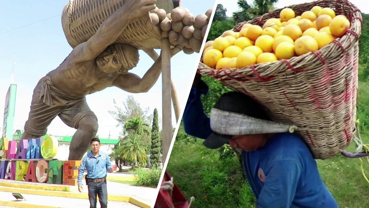 🍊Capital Mundial de la Naranja, Álamo Temapache, Veracruz - YouTube