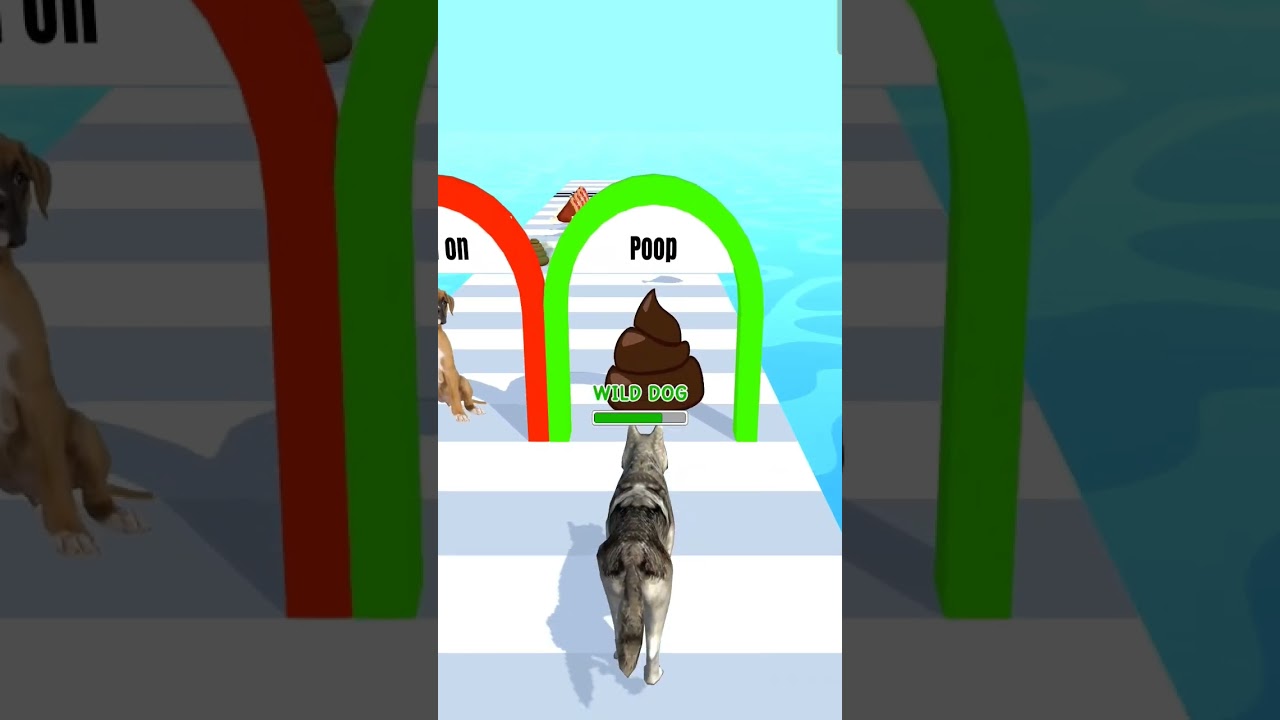 Doggy run gameplay walkthrough 🐕🥰 | All levels | Android, iOS mobile ...