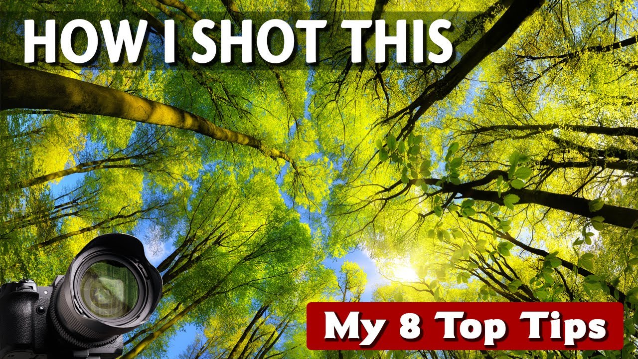 Real pro photography tips to take your woodland shots from chaotic to ...