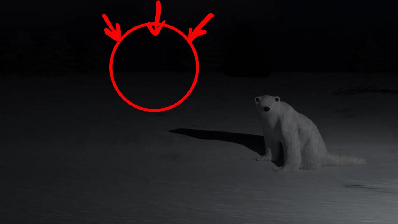 Polar Bear 2026 Meme Compilation (2023) - YouTube