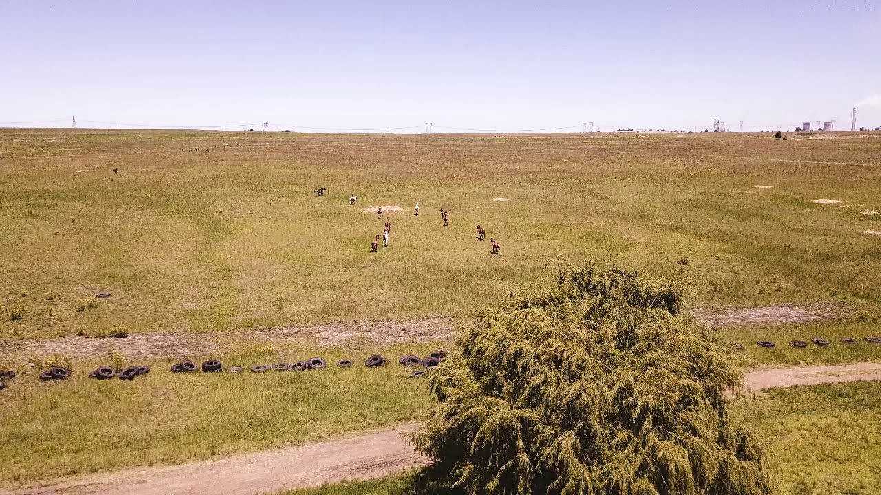 Secunda - Wild horses at Unicor Dam Part 1 - YouTube